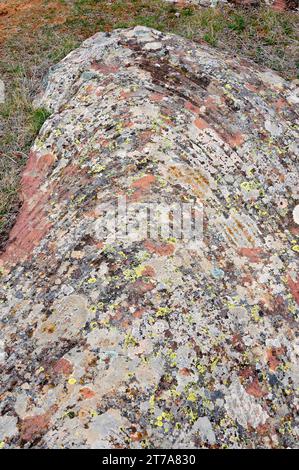 Red sandstone with Liesegang rings. Sandstone is a clastic sedimentary ...