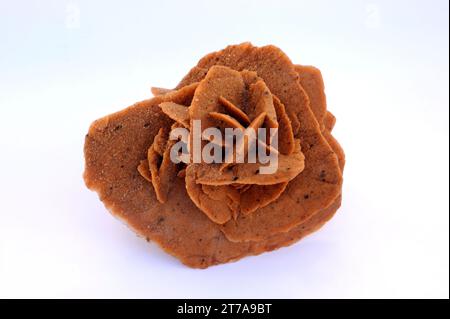 Desert rose of gypsum crystals. A desert rose is formed when sand ...