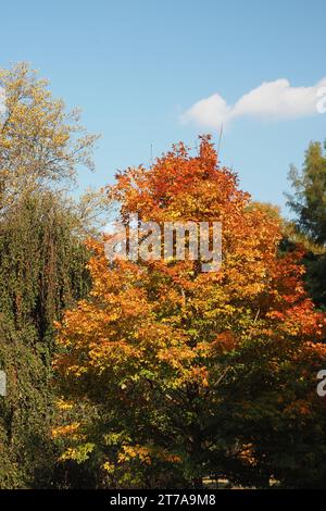 An afternoon at the Andalusia Manor in Bucks County, PA Stock Photo - Alamy