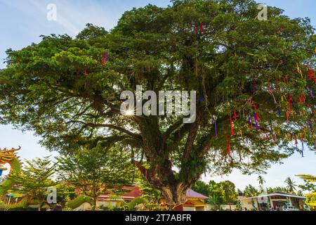 The wishing tree for fulfilling the prayers of the visitors to the ...