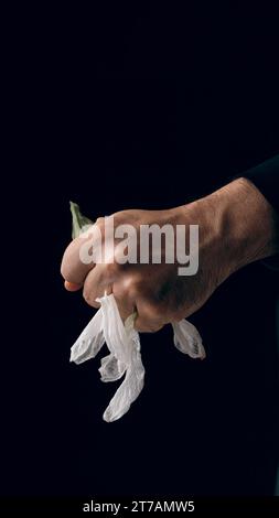 hand crumpling white fragile flower, metaphor of violence abuse ...