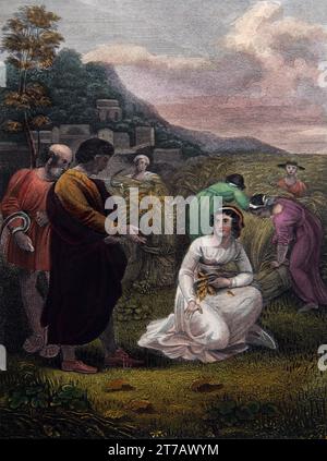 Illustration of Ruth Meeting Boaz in Corn Field Book of Ruth (Ruth II ...