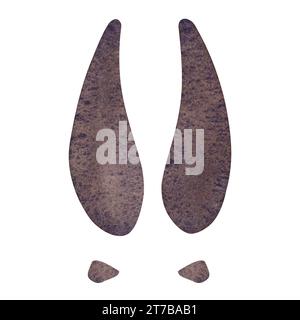 Colored footpath track hoof of elk, deer. Brown paw wild animal ...