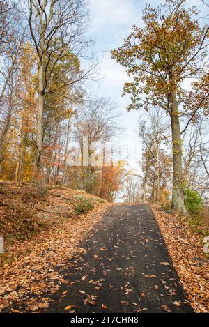 Different angles of footpaths Stock Photo - Alamy