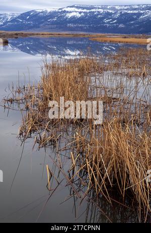 Ana River with Winter Rim, Summer Lake Wildlife Area, Oregon Outback ...