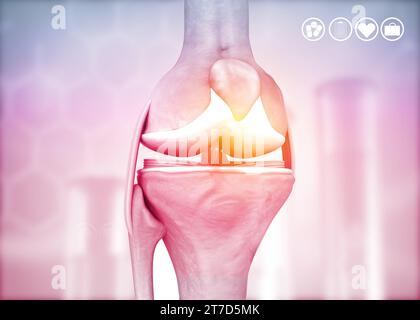 Anatomy of knee joint on medical background. 3d illustration Stock ...