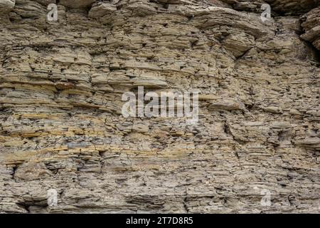 Most of the rocks exposed at the surface of Earth are sedimentary rock ...