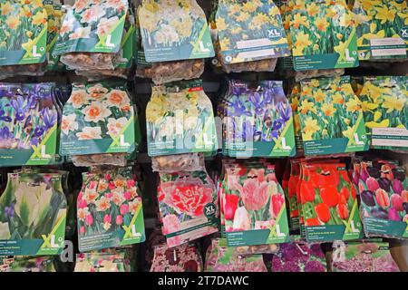 Packets of bulbs on display in garden centre Stock Photo - Alamy