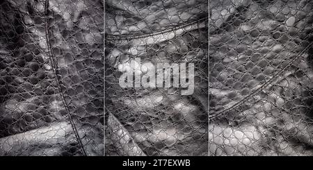 collection of skin textures or background. collection of skin textures ...