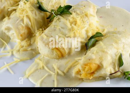 tasty rondelli pasta and cannelloni in white sauce with parmesan cheese ...