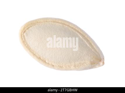 One dried pumpkin seed isolated on white Stock Photo - Alamy