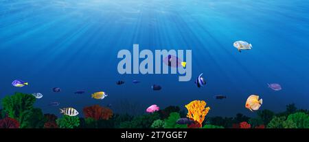 different fishes in aquarium for design purpose, wallpaper Stock Photo ...