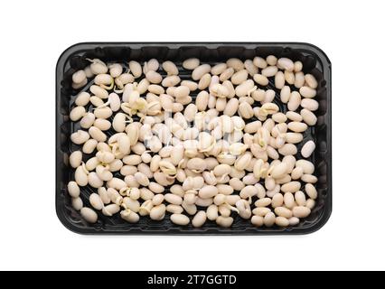 Plastic tray with sprouted kidney beans isolated on white Stock Photo ...