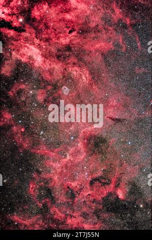 The Milky Way in central Cygnus showing a rich assortment of nebulae ...