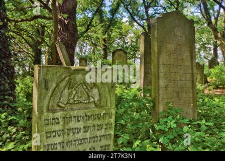 Blessing hands symbol at headstone of priest at Jewish cemetery in ...