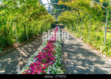 A garden arbor and walkway at Point Defiance Park in Tacoma, Washington ...