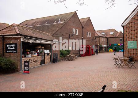 The Grove Shopping Centre, Witham Stock Photo - Alamy