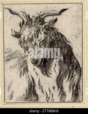 black goat head as portrait form home farm Stock Photo - Alamy