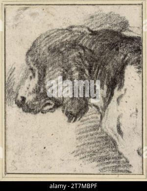 Philipp Peter Roos Hunting dog head. Black chalk Stock Photo - Alamy