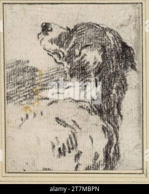 Philipp Peter Roos Hunting dog head. Black chalk Stock Photo - Alamy