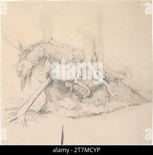 Dead tree trunks rooted in the ground, sketchbook Toma Matthias Rudolf ...