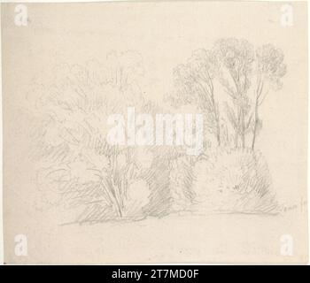 Matthias Rudolf Toma Forest. Pencil Stock Photo - Alamy