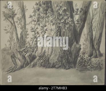 Ludwig Rösch Plant study in the palm house. Watercolor; Deck white ...