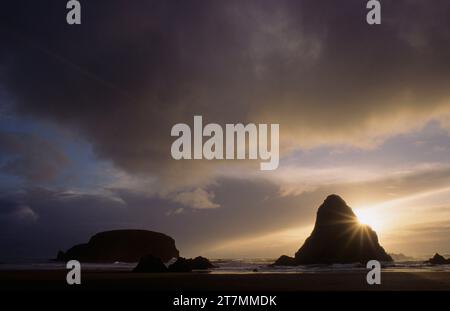 Whalehead Beach at Samuel H. Boardman State Park near Brookings, Oregon ...
