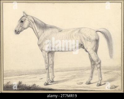 Carl Adolph Heinrich Heß An Arab or Tartar horse that Napoleon rode in ...