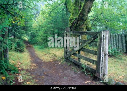 Tollgate on Barlow Road, Mt Hood National Forest, Oregon Stock Photo ...