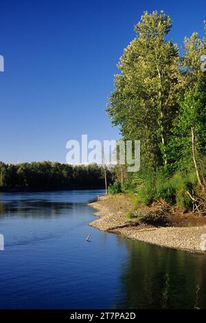 Willamette River, Willamette Mission State Park, Oregon Stock Photo - Alamy