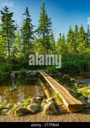 Log Bridge Over the Mississippi River Headwaters at Itasca State Park ...