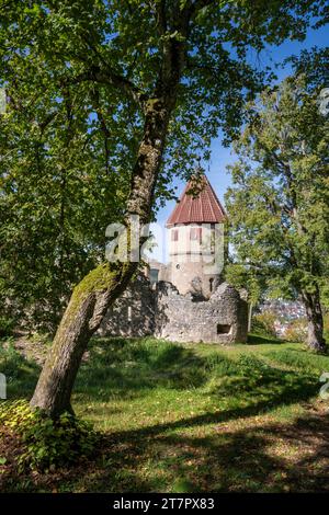 The Honburg castle ruins on the Honberg, above the town of Tuttlingen ...