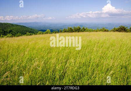 Blue Ridge Mountains Grasslands in the Blue Ridge Parkway Stock Photo ...