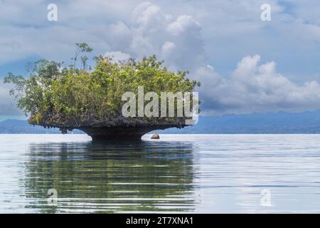 A view of islets covered in vegetation from inside the natural ...