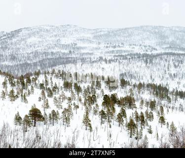 geography / travel, Norway, Senja, winter landscape near Tyngennyset ...