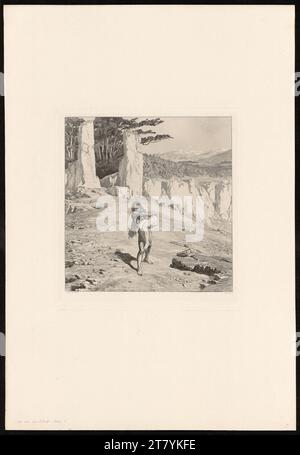 Max Klinger Eva (Opus III, sheet 1 from the cycle "Eva and the Future ...