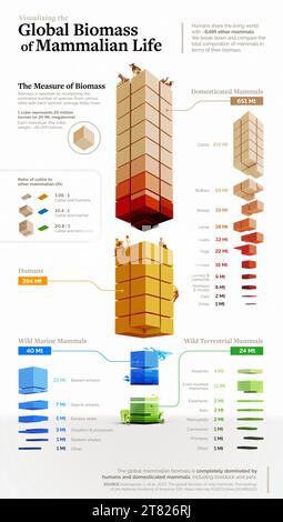 Biomass of mammalian life on Earth, illustration Stock Photo - Alamy