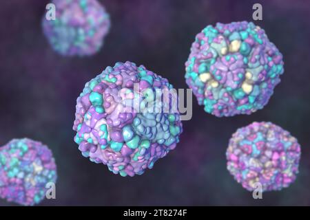 Echo virus structure, illustration Stock Photo - Alamy