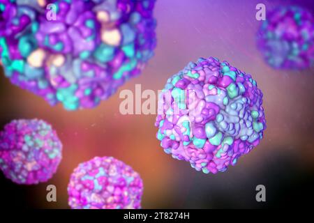 Echo virus structure, illustration Stock Photo - Alamy
