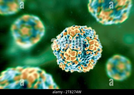 Echo virus structure, illustration Stock Photo - Alamy