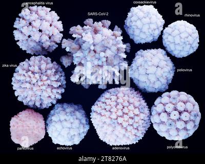 Human-infecting viruses, illustration Stock Photo - Alamy