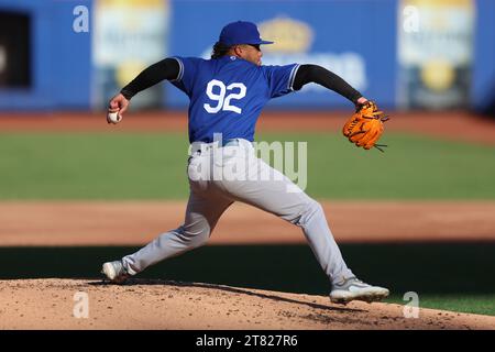 Los Tigres del Licey relief pitcher Adonis Medina (23) throws during ...
