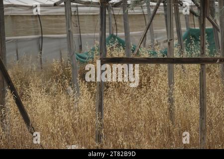 Greenhouses, Lost Place, Crete, Greece Stock Photo - Alamy