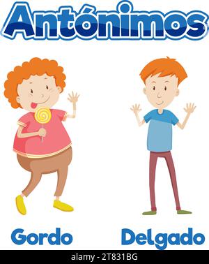 Illustrated picture word card teaching antonyms in Spanish Fat and Slim ...
