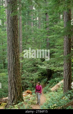 Clackamas River Trail, Clackamas Wild and Scenic River, West Cascades ...