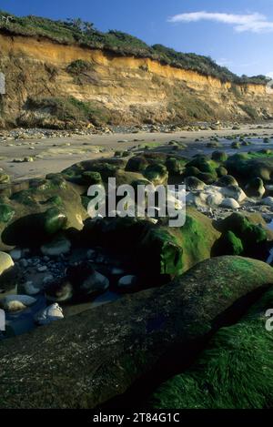 Beach cliff, Ona Beach State Park, Oregon Stock Photo - Alamy