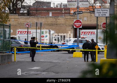 Bronx, USA. 18th Nov, 2023. Bronx homicide detectives investigate the ...