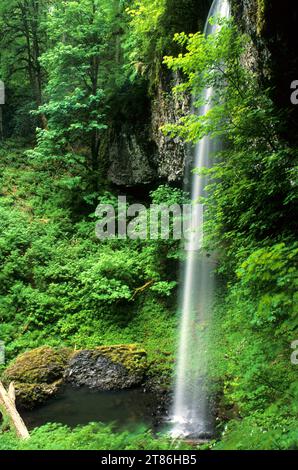 Shellburg Falls, Santiam State Forest, Oregon Stock Photo - Alamy