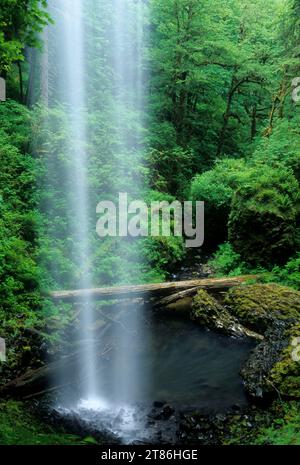 Shellburg Falls, Santiam State Forest, Oregon Stock Photo - Alamy
